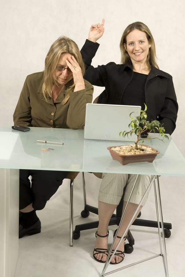 Women with Computer stock image. Image of meeting, inside - 6450597