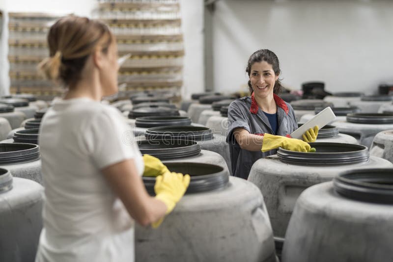 Women Controlling Olives Fermentation and Quality in Barrels Stock ...