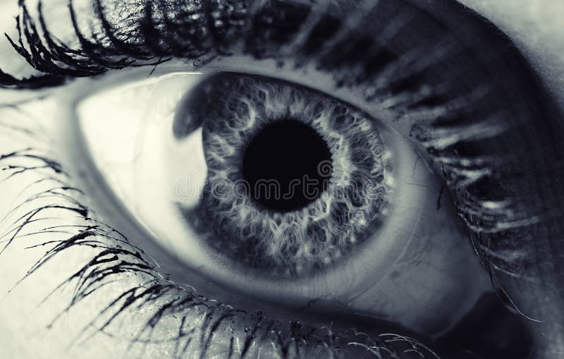 Monochrome Female Eye Is Macro Stock Photo - Image of iris, look: 135352074