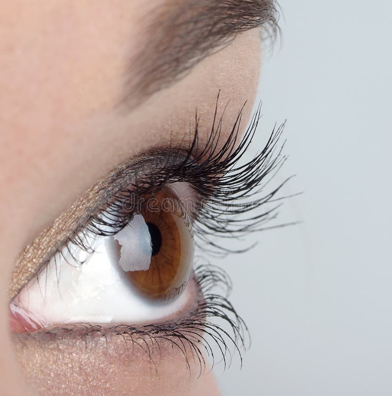 Women s eye stock photo. Image of close, long, looking - 14086410