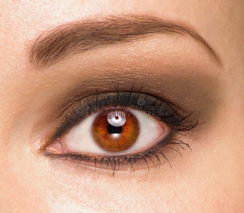 Two eyes stock photo. Image of close, focus, femininity - 11485732