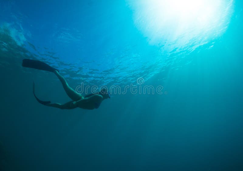 Women free diving stock image. Image of life, fish, light - 28959201