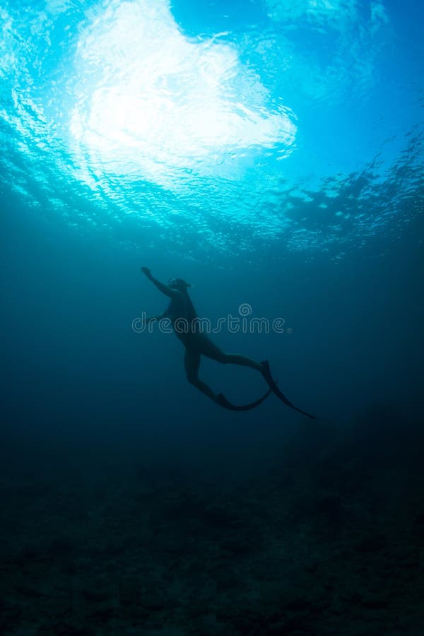 Women free diving stock photo. Image of breathhold, freediving - 28959192