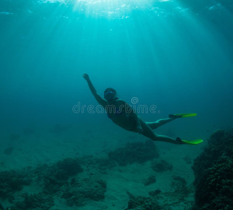 Women free diving stock photo. Image of breathhold, freediving - 28959192