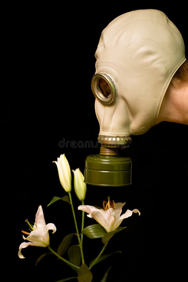 Women Gas Mask Smells Flower Stock Photos - Free & Royalty-Free Stock ...
