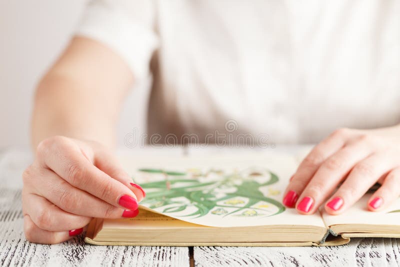 Women Hand Flipping through a Book Stock Image - Image of business ...