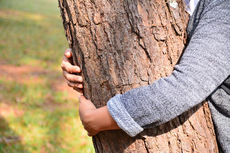 Women hand Hug tree stock image. Image of tree, green - 113037673