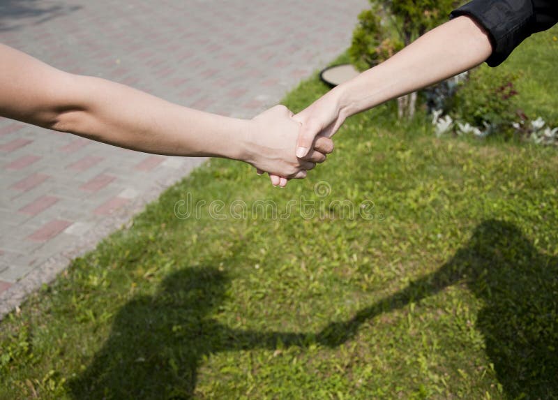 Women hand shake stock photo. Image of hand, businesspeople - 19980324