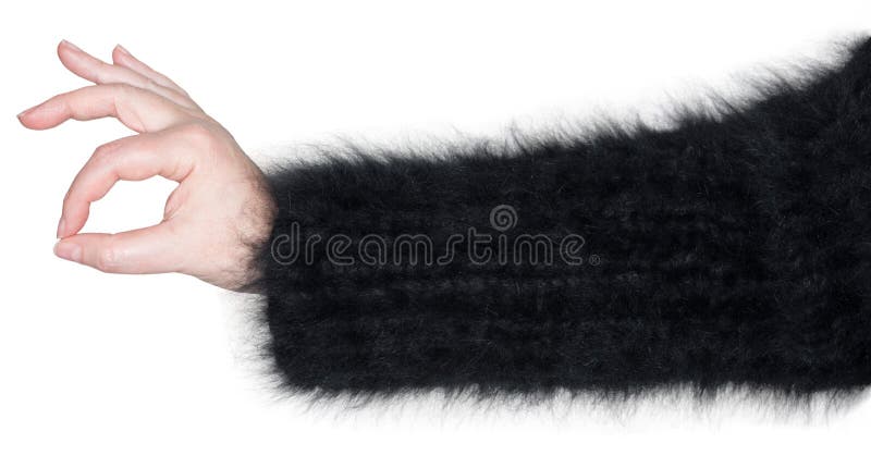 Women Hand Shows a Gesture As a Sign Language Stock Photo - Image of ...