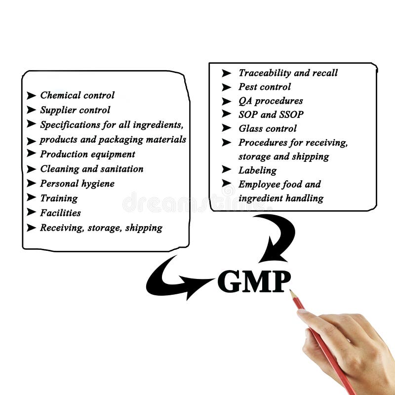 Women Hand Writing Components of GMP(Good Manufacturing Practice Stock ...
