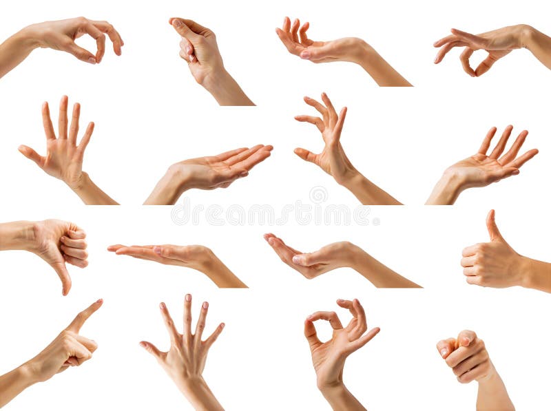 Left Hand Multiple Collection with Reaching Out in Gesture of Man and ...