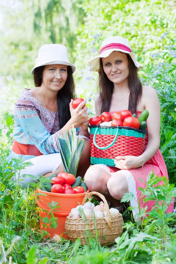 Women with Harvested Vegetables Stock Image - Image of basket, garden ...