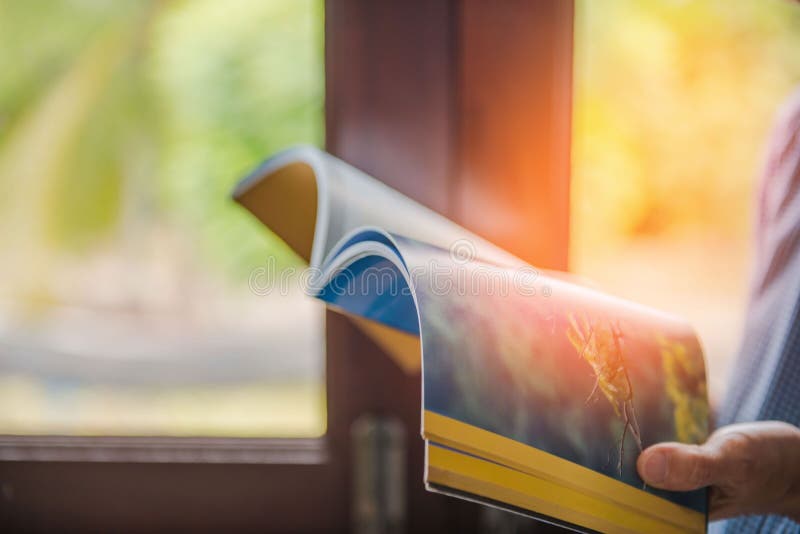 Women Hold Books in Hand in the Library Stock Photo - Image of ...