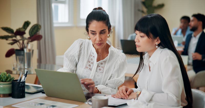 Women, Laptop and Feedback in Office for Advice, Training and Problem Solving. Accountant ...