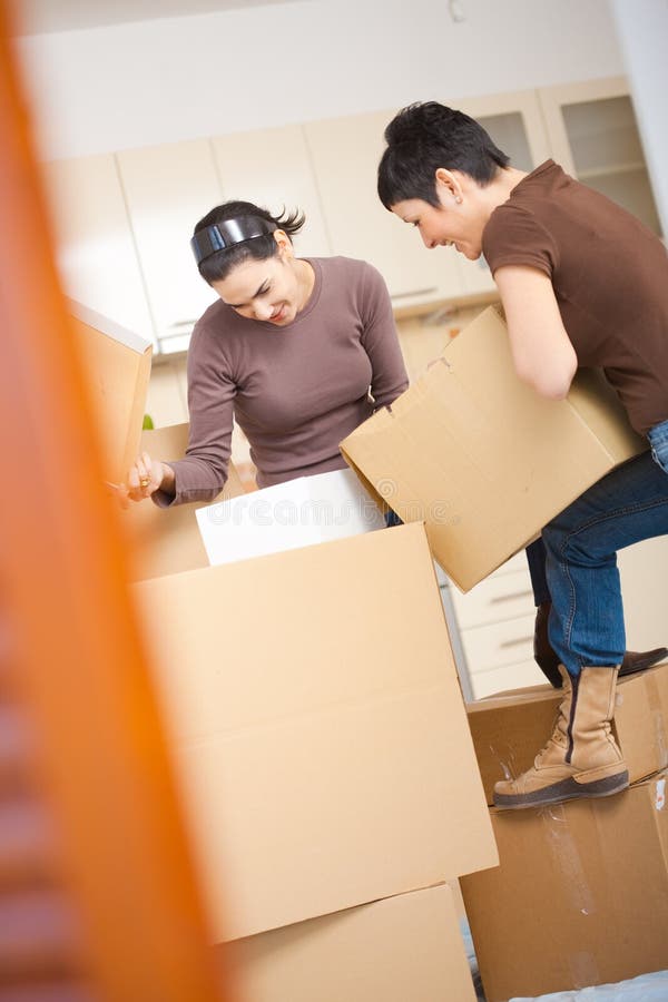 Two Women with Moving Box in Her House Stock Image - Image of company ...