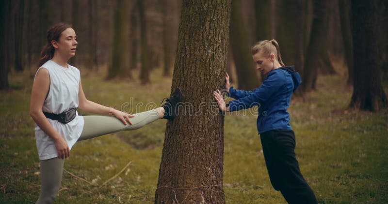 Women Practicing Stretching Exercise while Leaning on Tree Stock Video ...