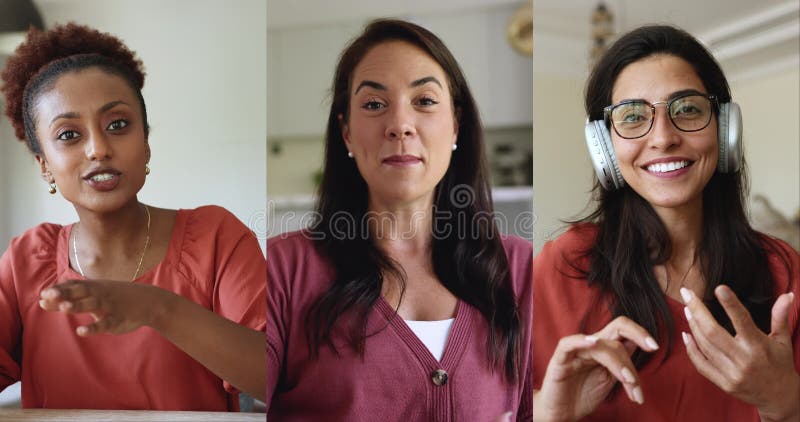 Women in Professional or Casual Setting Engaged in Communication ...