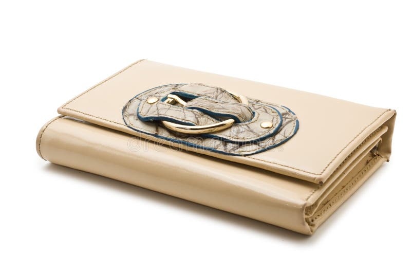 Women Purse stock photo. Image of elegance, fashion, fancy - 15404328