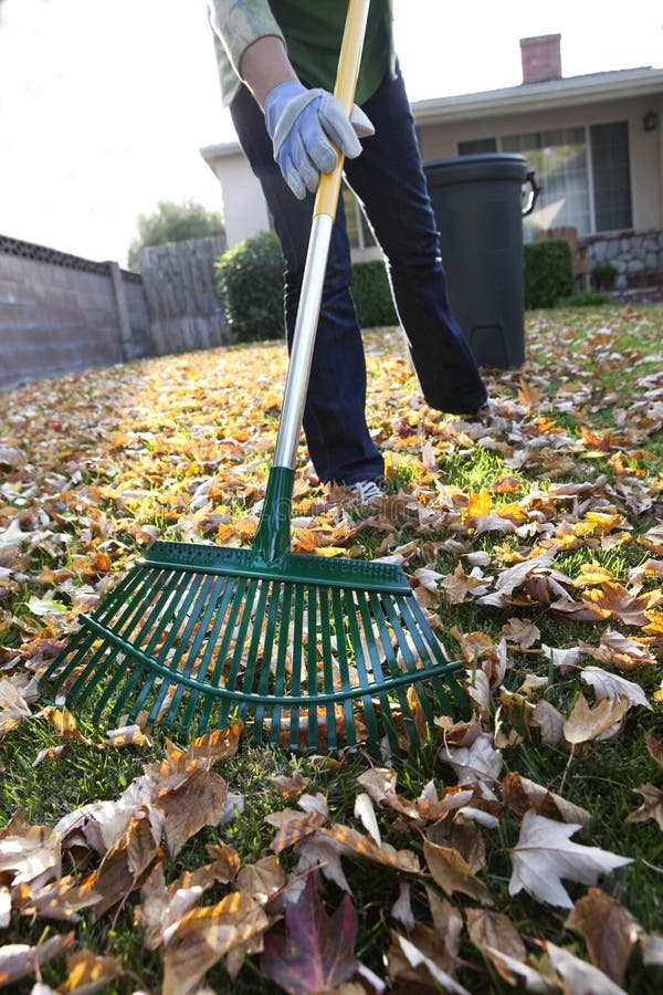 3,996 Raking Leaves Stock Photos - Free & Royalty-Free Stock Photos ...