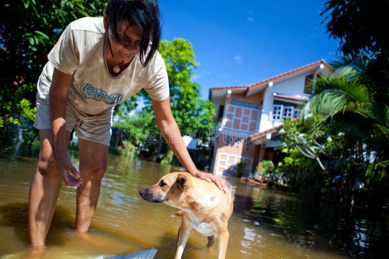 Women Rescue Dog from Flood Editorial Photo - Image of action, movement ...