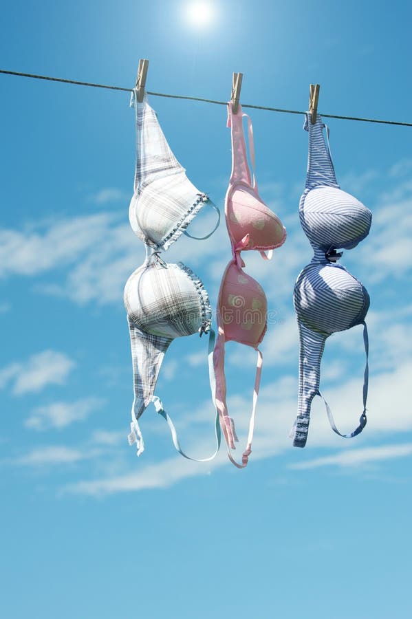 Women S Bras Drying in the Sun. Stock Image - Image of cups, lady: 16181393