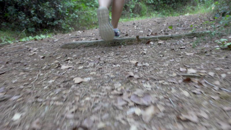 Women S Feet Walking Along a Forest Path with Branches and Leaves ...
