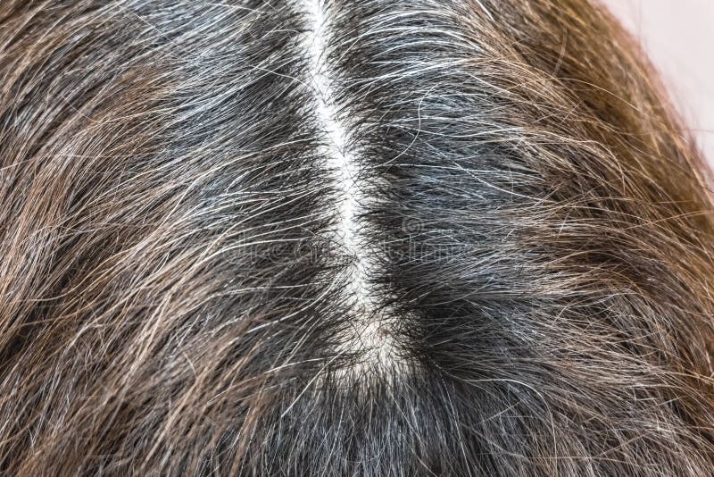 Women`s Gray Hair Roots. Age Change. Going Gray. Stock Photo - Image of ...
