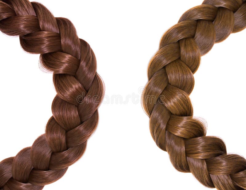 Women`s Hair Isolated on White Background. a Brown Braid of Hair. Stock ...