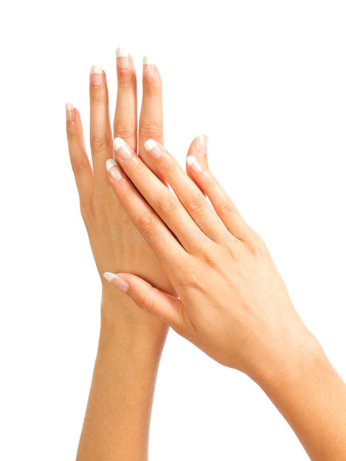 Women s hands stock image. Image of gentle, feminine - 20640475
