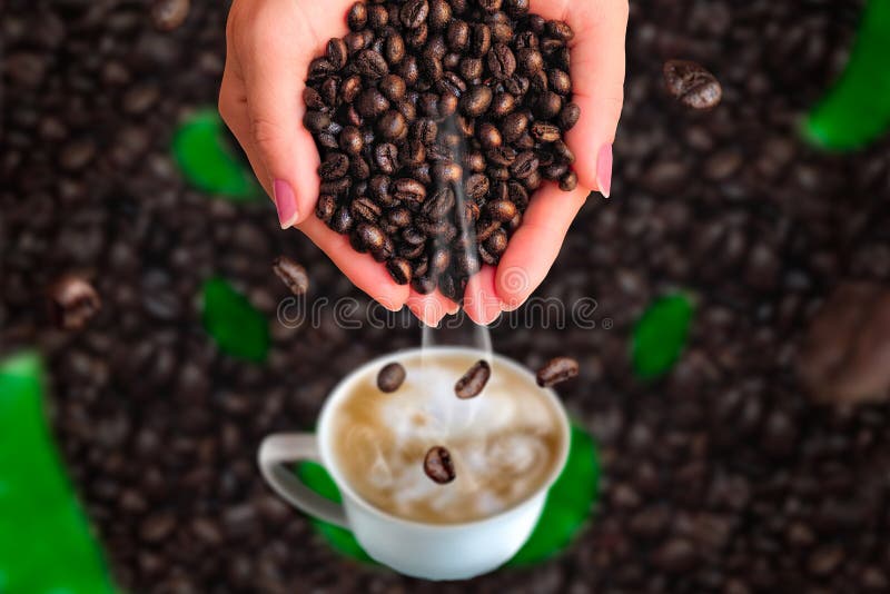 Women`s Hands Dropping Coffee Beans on Cup of Out of Focus Coffee on ...