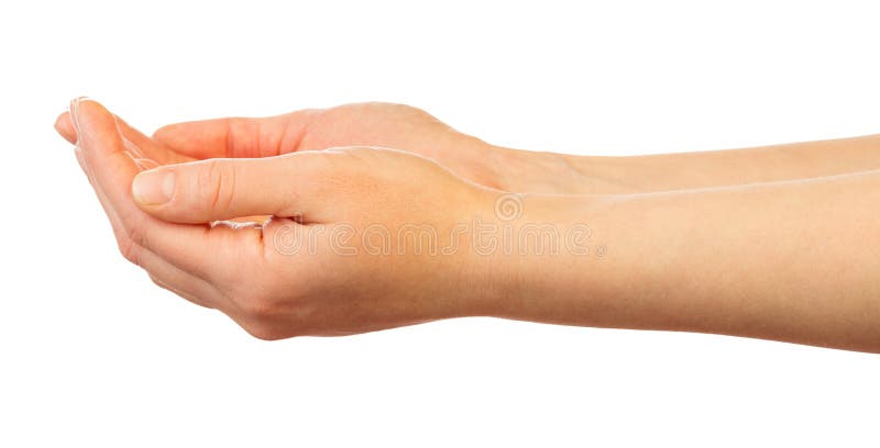 Women S Hands are Folded in a Handful Isolated Stock Image - Image of ...