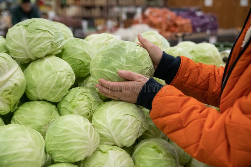 Women S Hands Pick Up Fresh Cabbage from the Display Case at the ...