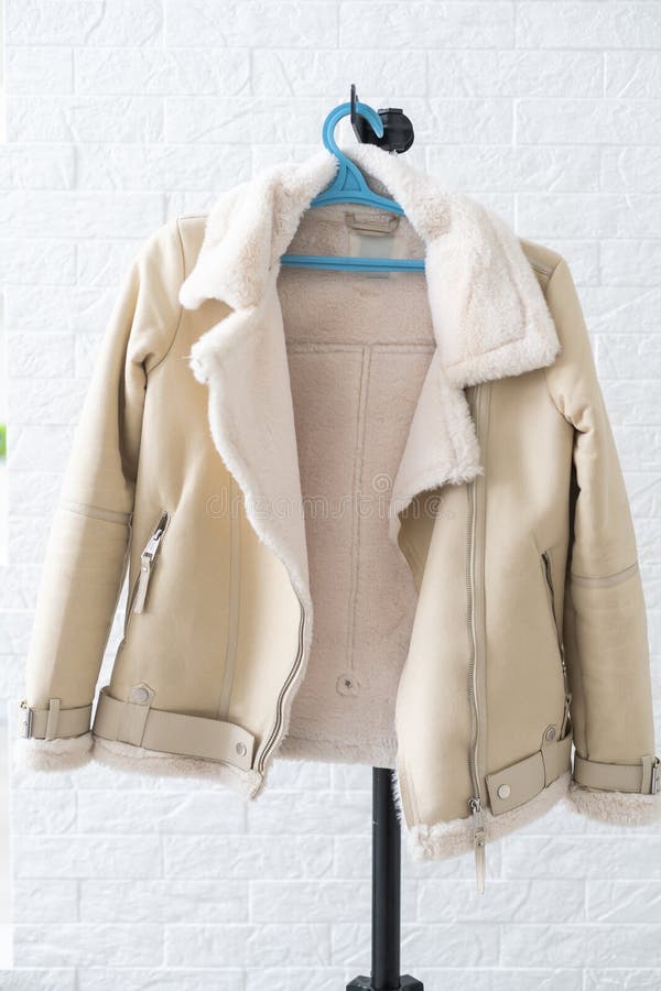Women S Jacket on a Hanger White Background Stock Image - Image of ...