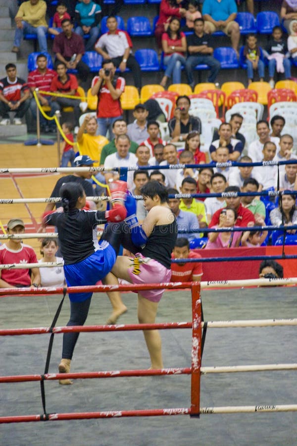 High kick editorial stock image. Image of fight, kick - 9395814