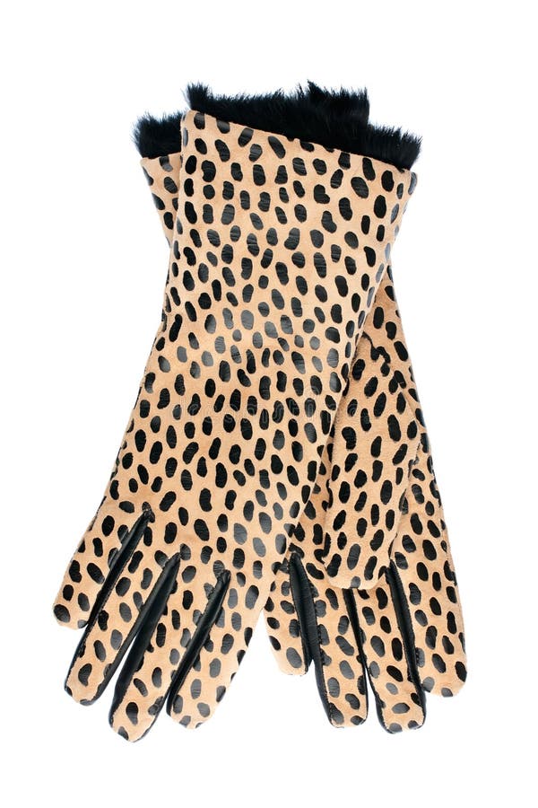 Women s new gloves leopard stock image. Image of fashionable - 26742177