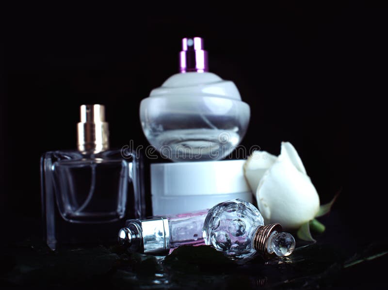 Women s perfume and cream. stock photo. Image of look - 66217812