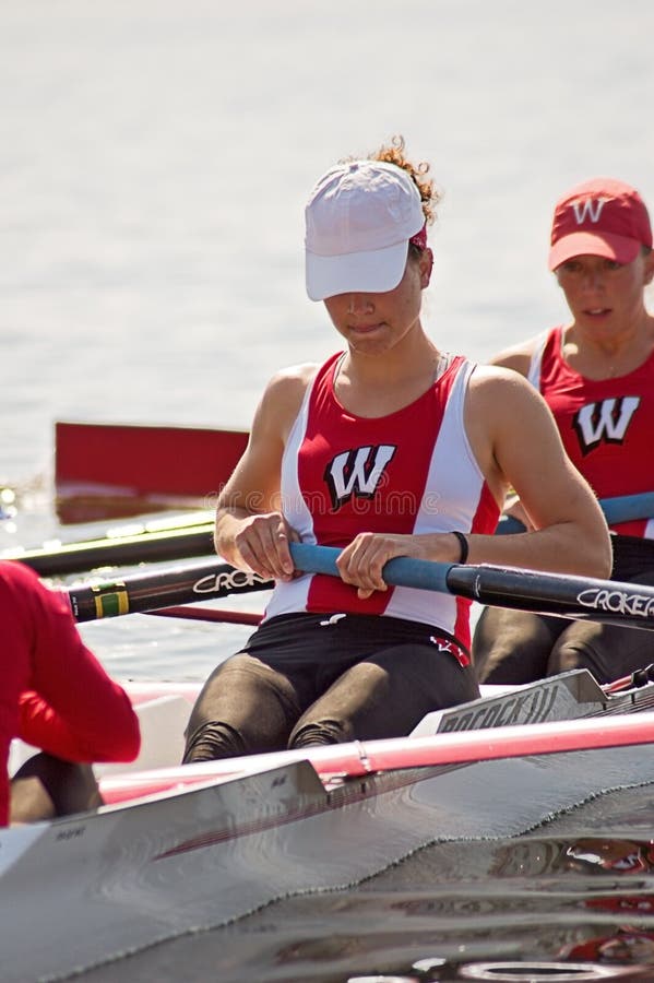 Oars in the Water stock photo. Image of line, rowing, ripple - 2307798