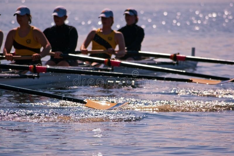 Close Up Women S Rowing Team Stock Image - Image of activity, female ...