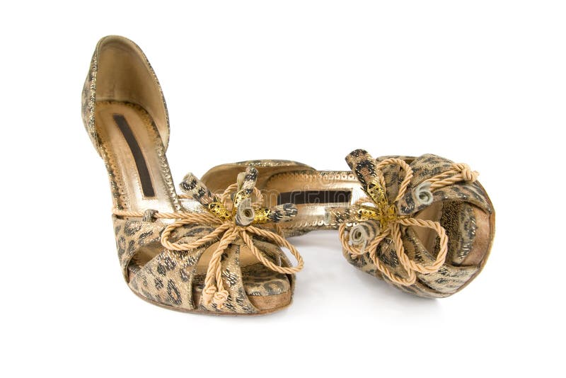 Elegant women s shoes stock image. Image of females, pretty - 13273077 Elegant women s shoes stock image. Image of females, pretty - 13273077