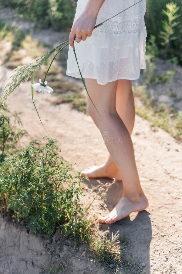 Women& X27;s Slender Legs Walking Barefoot on the Path Stock Image ...