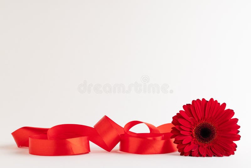 Women`s Things on a White Background. Main Object is Red Gerbera Flower ...