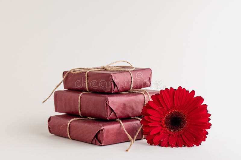 Women`s Things on a White Background. Main Object is Red Gerbera Flower ...