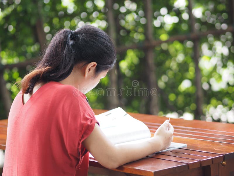 Women Sitting Read Book on Bench Stock Photo - Image of read, book ...