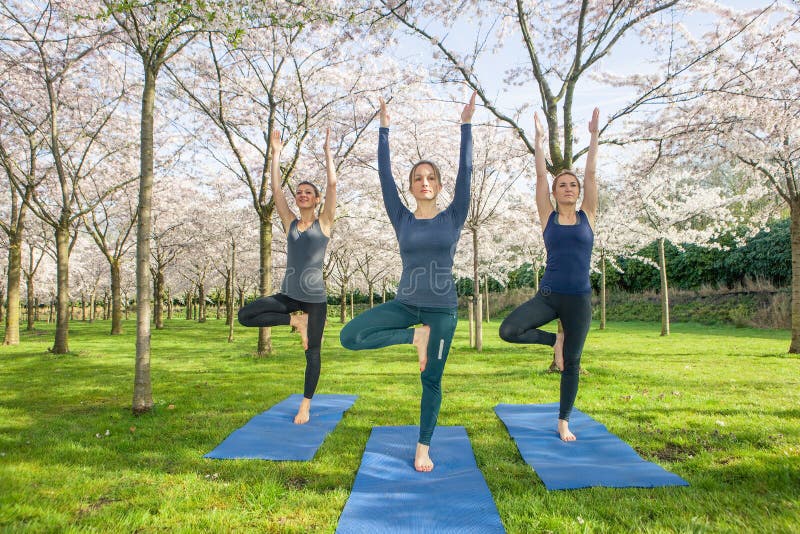 Women Standing in a Mountain Pose, Tadasana Stock Image - Image of slim ...