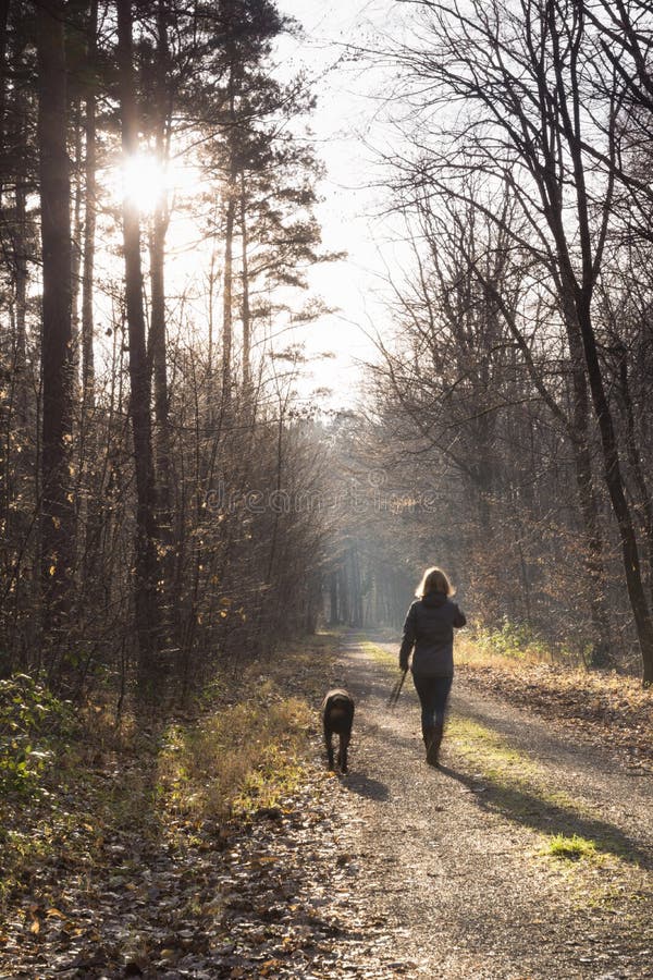 A Women Take the Dog for a Walk Stock Photo - Image of autumn, sunshine ...
