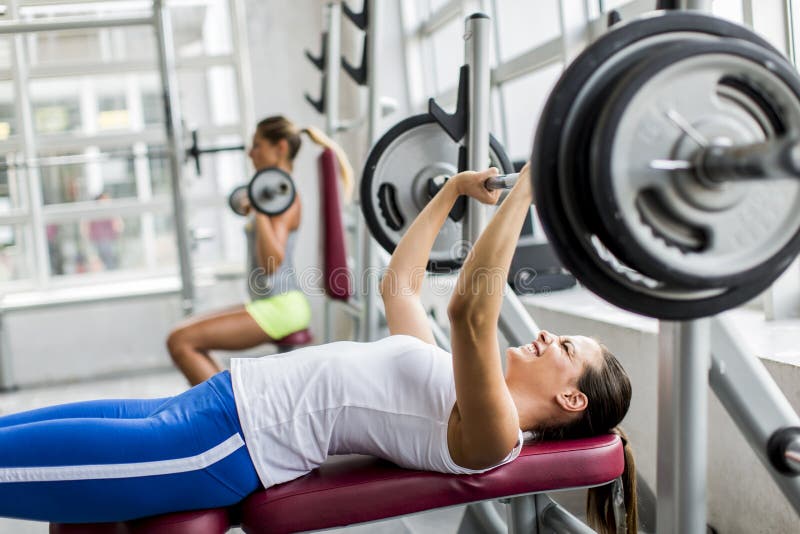 Women training in the gym stock photo. Image of athlete - 44190140