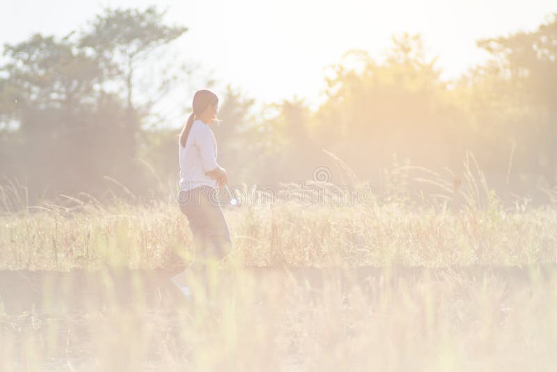 Women Walking in Rice Fields at Sunset Stock Image - Image of holiday ...