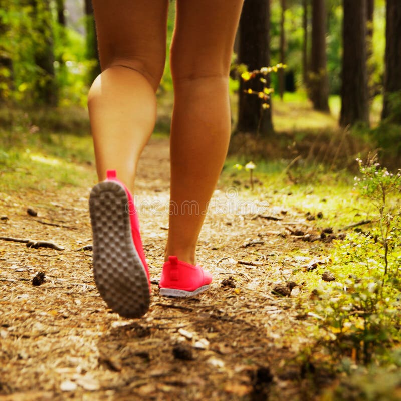 Women Walking in the Woods Long a Path Stock Image - Image of activity ...