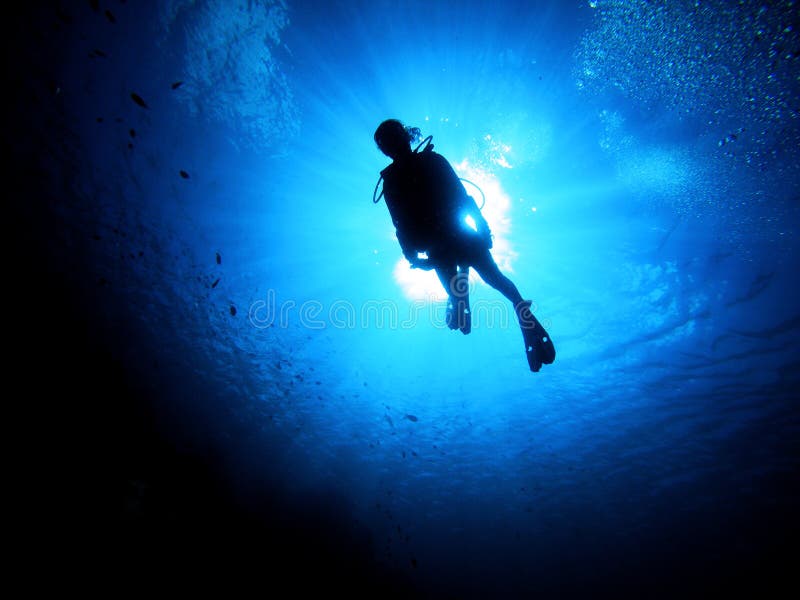 Women Who Enjoy Diving in the Clean Sea Stock Image - Image of aquatic ...