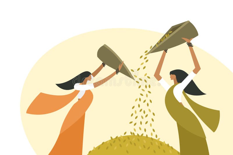 Women Do Winnowing Rice Grains after Harvest Stock Vector ...
